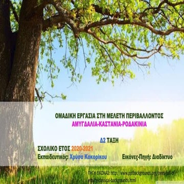 ΧΡΥΣΑ ΚΟΚΟΡΙΚΟΥ Δ2 omadikh meleth dentra.pdf