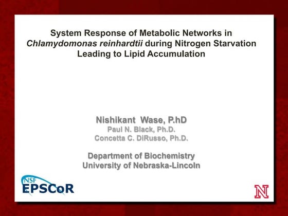 Biochemj00056 0080 | PDF | Chemistry | Science