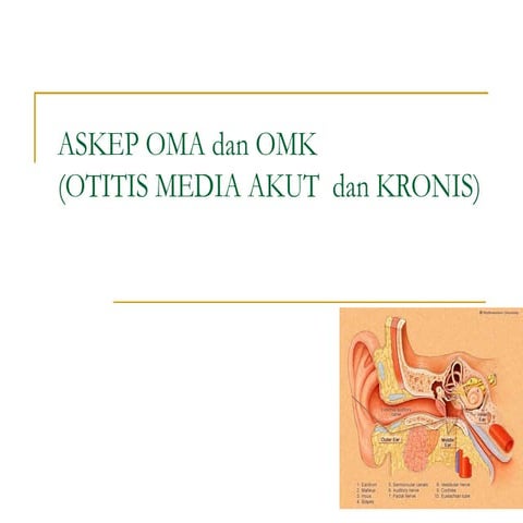 ASUHAN KEPERAWATAN PADA PASIEN DENGAN PERADANGAN PADA TELINGA (OTITIS ...
