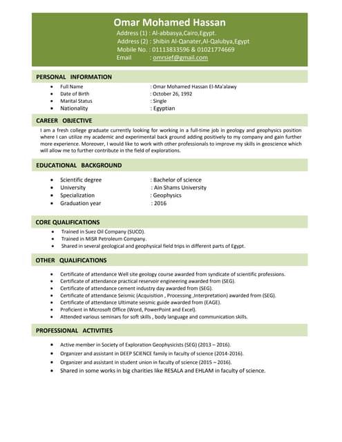 Mostafa Ezzeldin Resume 2014 New | DOC | Business Administration | Business