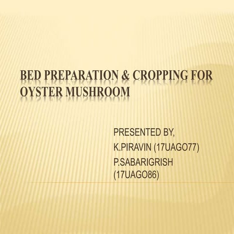 OM Bed preparation and cropping (17UAG077, 17UAG086).pptx