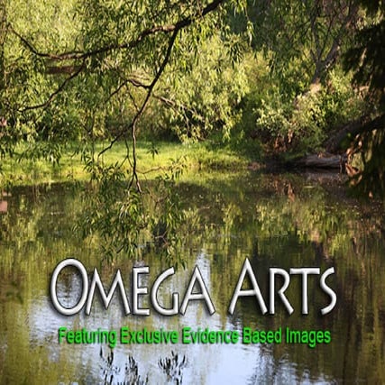 Omega Arts Intro | PDF
