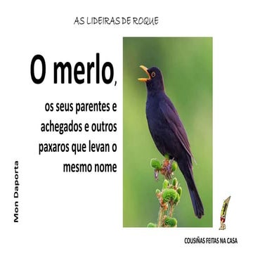 O merlo | PPTX