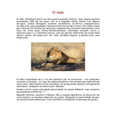 O meu animal preferido | DOC