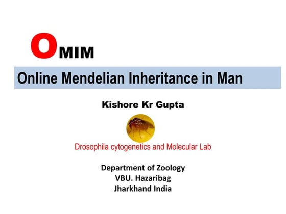 OMIM- Online Mendelian Inheritance in Man | PPT