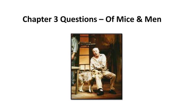Of Mice and Men Chapter 4 Questions | PPTX | Fiction | Books and Literature