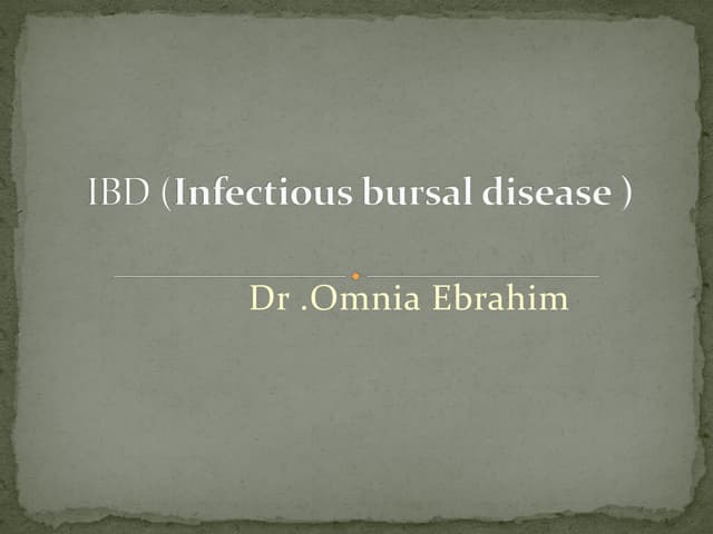 Infectious Bursal Disease Gumboro | PPTX