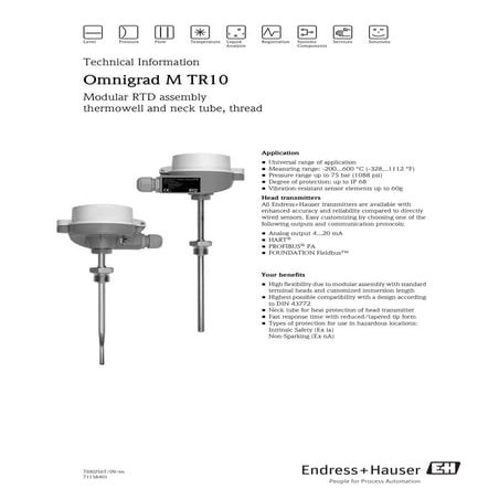 Omnigrad m tr10 endress+hauser datasheet-modular rtd assembly temperature | PDF | Physics | Science