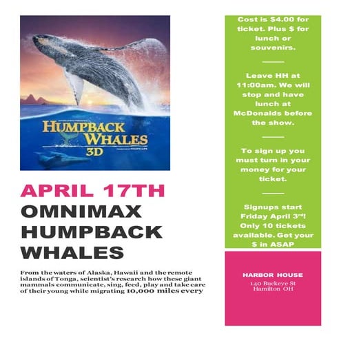 Omnimax w hales | DOCX | Zoos & Aquariums | Attractions