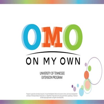 Omo digital simulation and lessons | PPTX