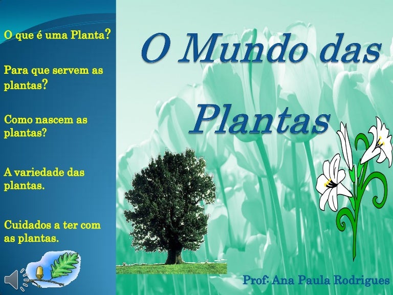 O mundo das plantas
