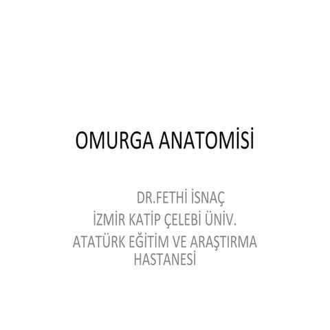 Omurga anatomi̇si̇ | PPT