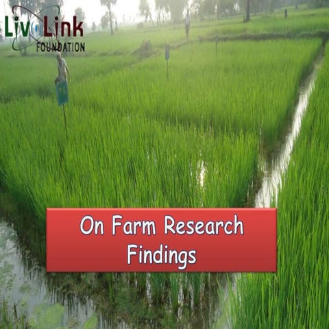 x-ray presentation on plant and other research | PPTX