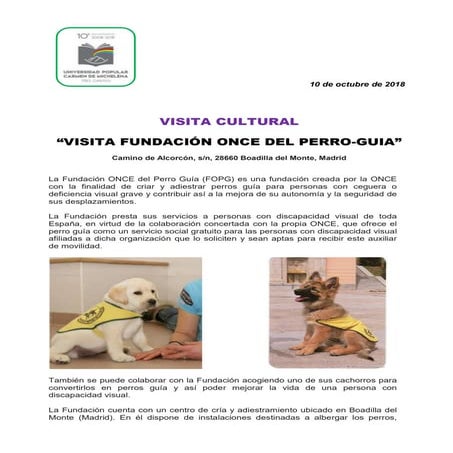 VISITA CULTURAL A LA FUNDACIÓN ONCE DEL PERRO-GUÍA | PDF
