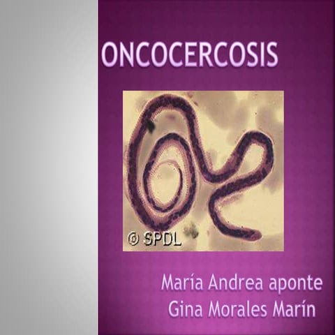 Onchocerca volvulus | PPTX