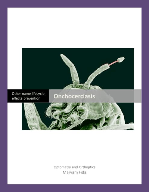 Operating systems basics (Graphical User Interfaces (GUIs) GUI Tools ...