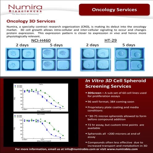 CYTOO chips&plates Motility | PDF