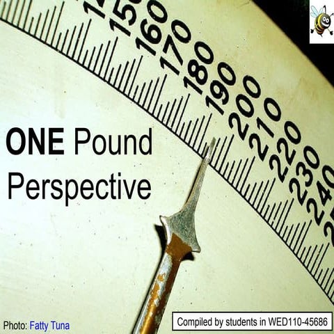 One Pound Perspective | PPT