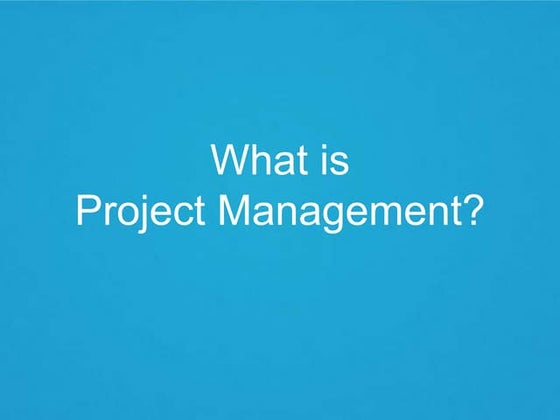 Project Management - Basic Concepts | PPT | Business | Business and Finance