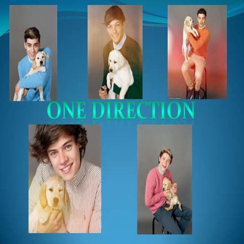 One direction | PPTX