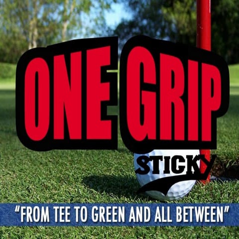 One grip | PPT