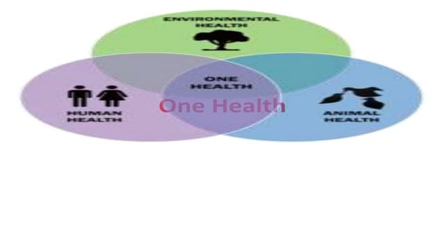 One Health: Concept and applications | PPT
