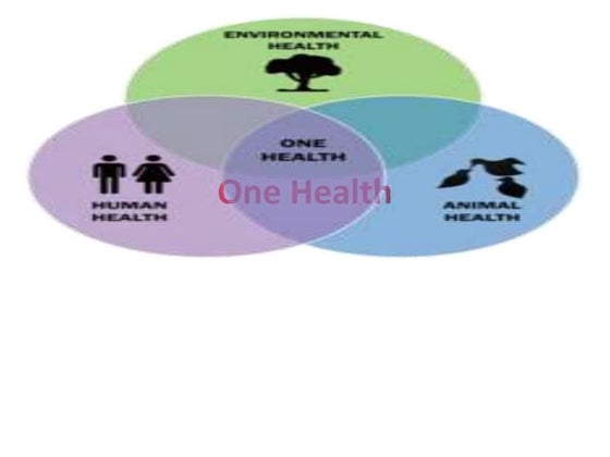 One World One Health Approach | PPT