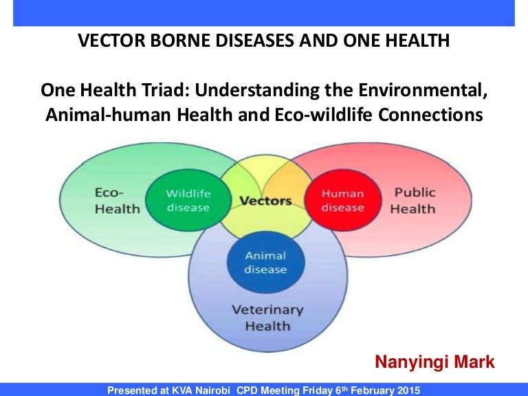 One health Perspective and Vector Borne Diseases