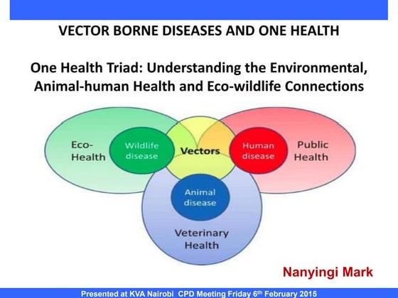 Morbillivirus and wildlife disease | PPT