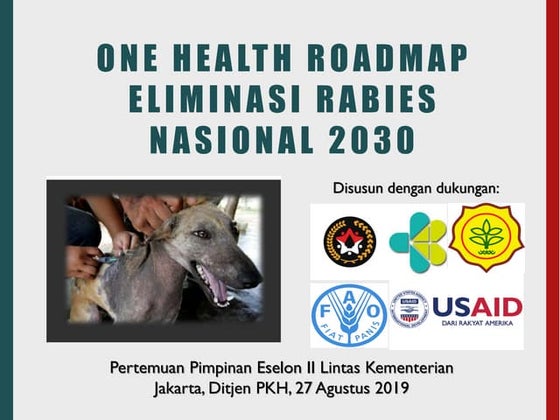 Rabies-Policy-Brief | PDF