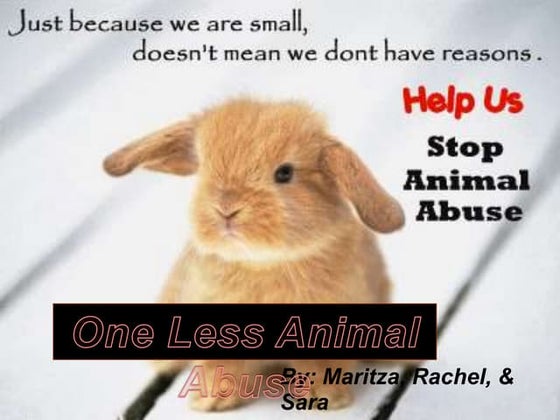 Essay On Animal Abuse | PDF
