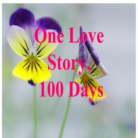 One love story, | PPSX