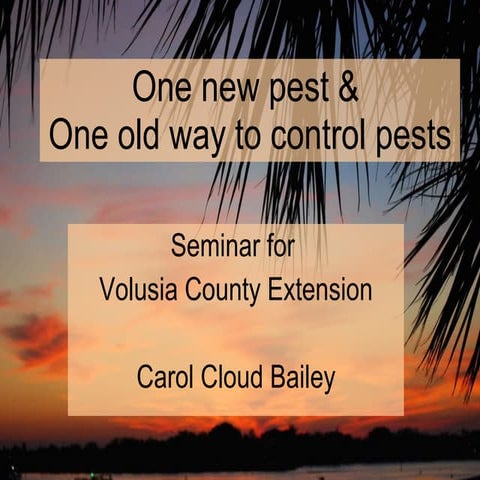 One new pest complete | PPT