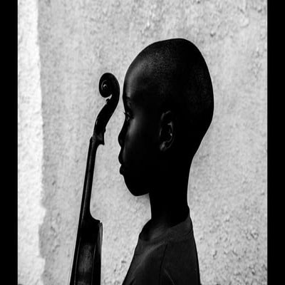 One Shot ~ Harmony | PPSX | Documentary | Genres