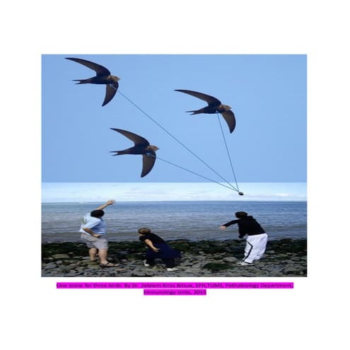 One stone for three birds | PDF