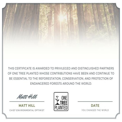 One Tree Planted Charity | PPT