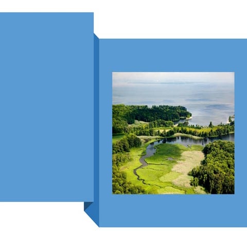 One Water Poster Contest PPT-2023 FSWCD.pptx