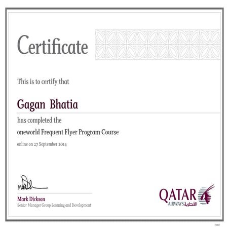 One world frequent flyer program | PDF