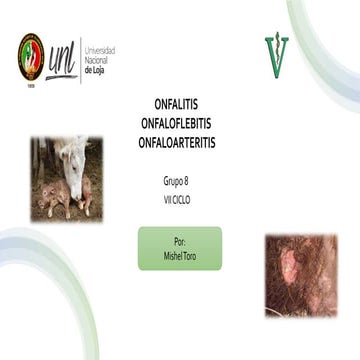 Onfalitis (Onfaloflebitis, Onfaloarteritis) | PDF