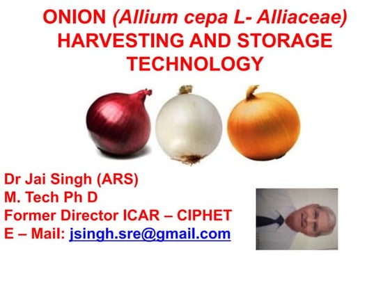 Post harvest management and value addition of onion | PPT