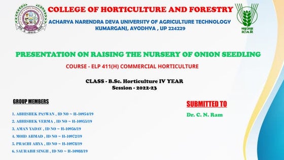 P1 nursery raising in vegetables | PDF