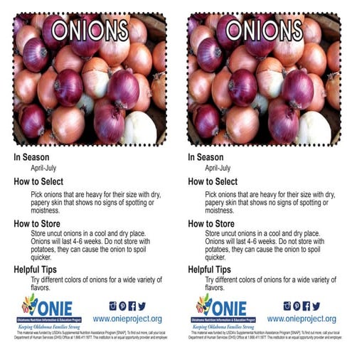 Onion Recipe Card | PDF
