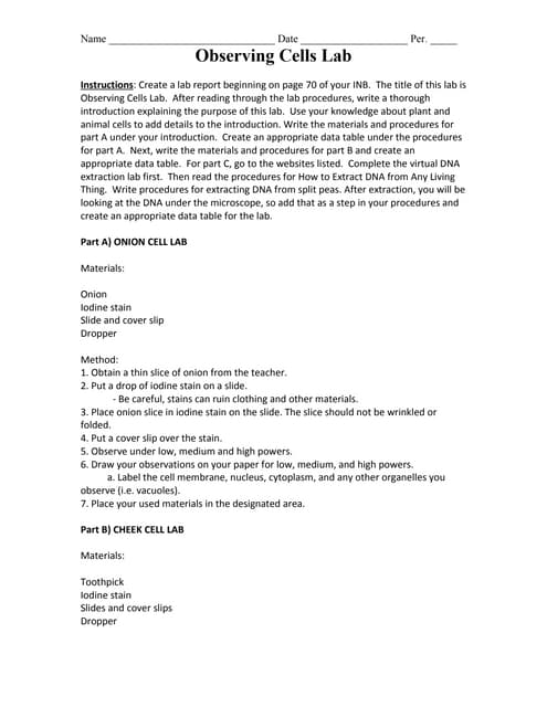 Onion and cheek cell lab | DOC | Biological Sciences | Science