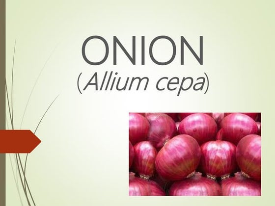 Post harvest management and value addition of onion | PPT