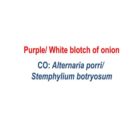 Onion, gerlic, ginger Disease | PPT