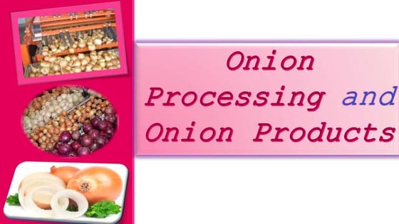 Dehydrated onion manufacturing process panchvati foods 016 | PPTX