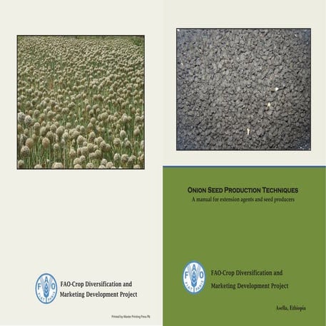 off season onion production in Nepal | DOC