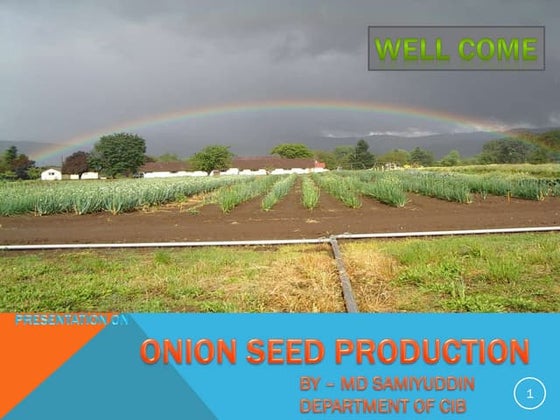 Off season vegetable production | PPT
