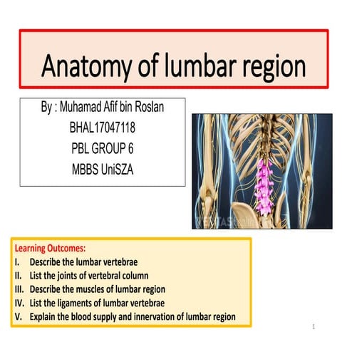 Musculoskeletal system:Anatomy of the Lumbar region | PDF