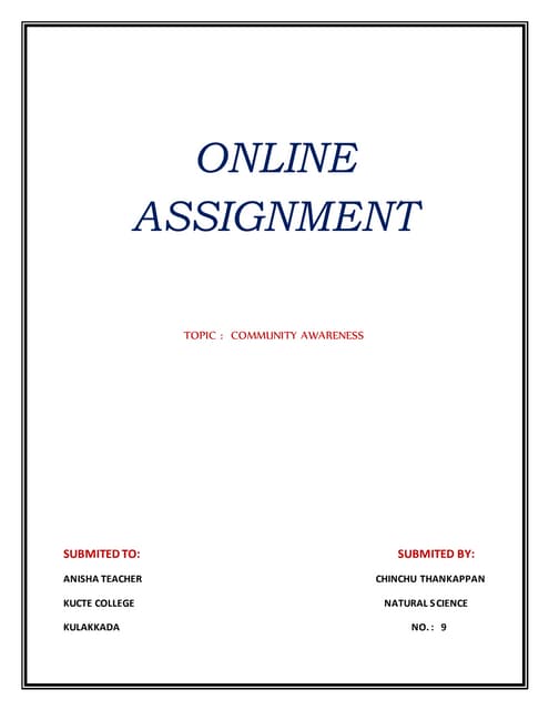 Community Service Individual Report | DOC | Adoption and Fostering ...